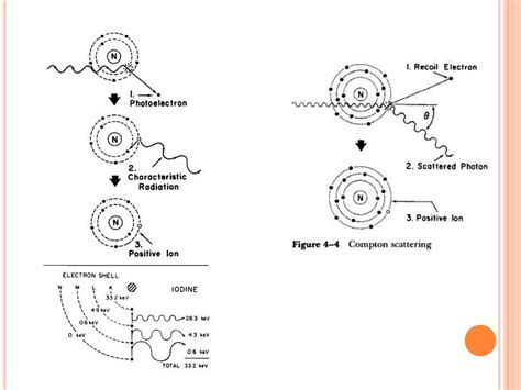 X Ray Attenuation Pdf