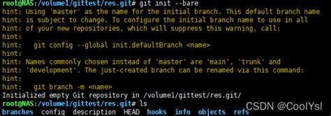 群晖nas 搭建gitserver并配置权限与ssh秘钥免密登陆 群晖 git server csdn博客