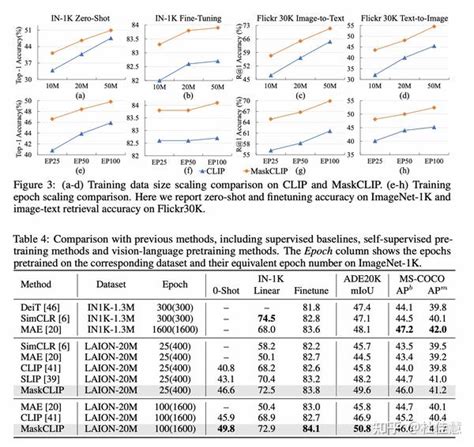Maskclip Masked Self Distillation Advances Contrastive Language Image Pretraining 知乎