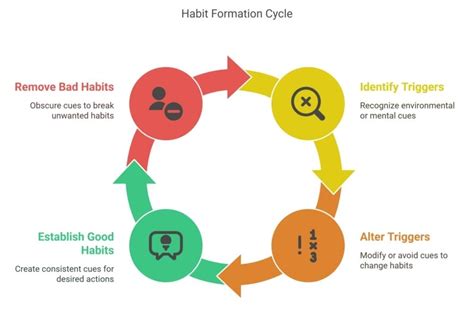 How Do We Form Habits Psychology Behind Our Daily Behaviors