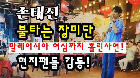 🔥 불타는트롯맨 불타는 장미단 💥손태진 말레시이아 여심까지 홀렸다 현지팬들 감격 Youtube