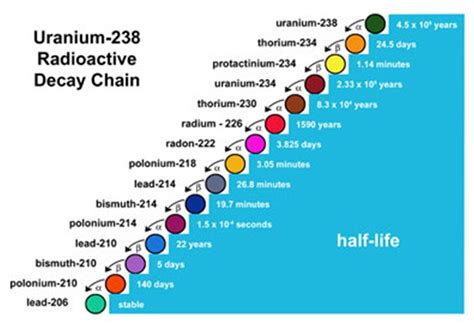 What Happens When Uranium 238 Decays At Erin Wesson Blog