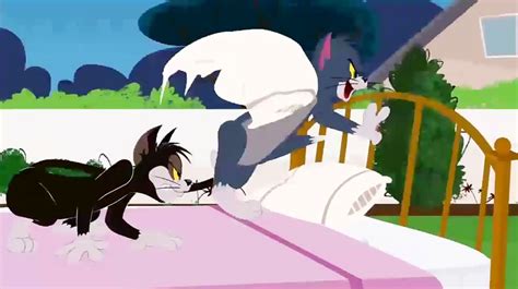 کارتون تام و جری برنامه کودک انیمیشن موش و گربه جدید اختلال خواب