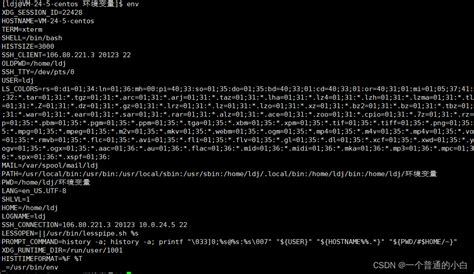 【linux 环境变量】环境变量一般是指在操作系统中用来指定操作系统运行环境的一些参数环境变量在linux系统中用于定义或引用操作系统环境的