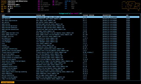 Install Tanzu Application Platform On Oss Virtual Graveyard