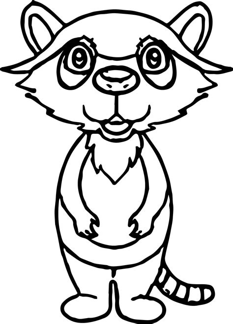 Cartoon Raccoon Coloring Page