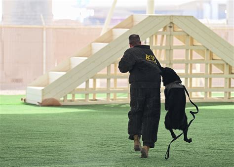 Dvids Images Auab K 9s Take A Bite Out Of Base Leadership Image 4