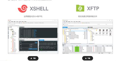 使用xshell ssh连接虚拟机 csdn博客