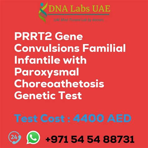 Prrt2 Gene Convulsions Familial Infantile With Paroxysmal