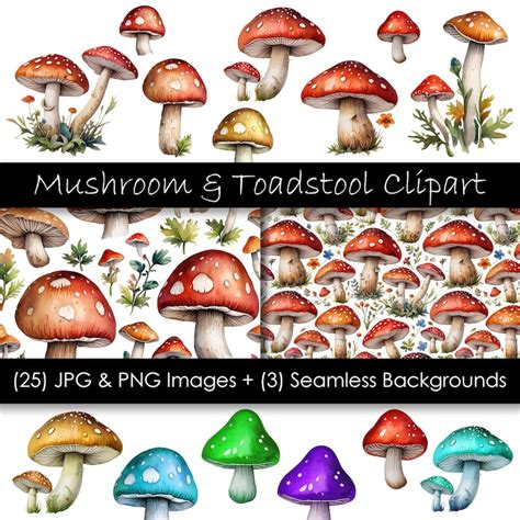 Mushroom Clipart Bundle Toadstool Clipart Multi Color Mushrooms 
