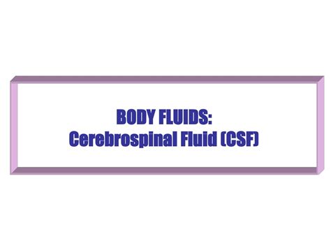 PPT BODY FLUIDS Cerebrospinal Fluid CSF PowerPoint Presentation Free Download ID