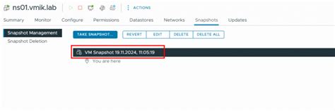 Vmware Vsphere 8 0 Update 3 Automated Snapshot Deletion