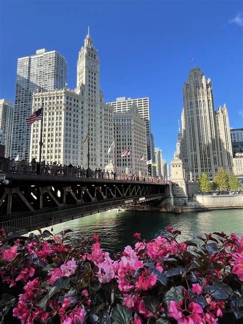 Lady Chi Ulady Chi Reddit