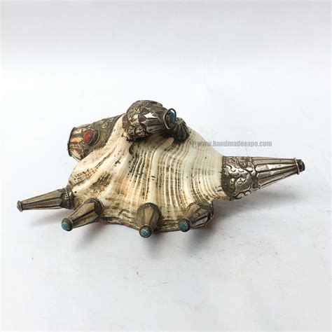 White Metal Conch Shell Price Us 80 Conch Shell Metal Setting Conch Shell Size