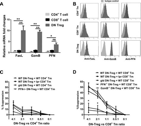 Dn Tregs Suppress Cd8cd44high Tm Cells In Vitro In A Download