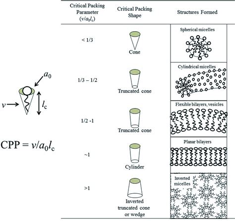Cell Membrane Description Of The Paramaters In The Packing Parameter