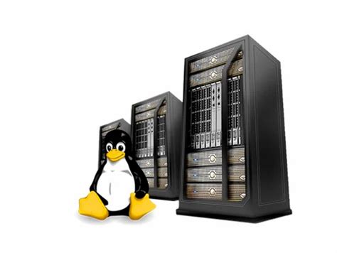 Linux Web Hosting In New Delhi ID 15784626912