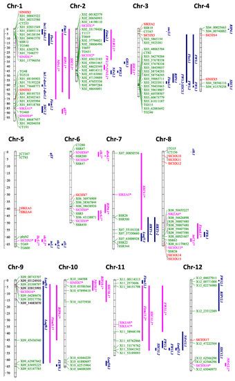 Agronomy Special Issue Insights From Genetic Bioinformatics Of Crops