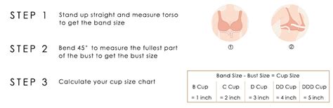 Bra Size Calculator & Chart – Everything About How to Measure Bra Size | HSIA
