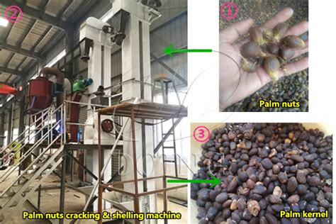 What Machines Are Used In Palm Kernel Oil Extraction Process Palm Oil Extraction Faq What