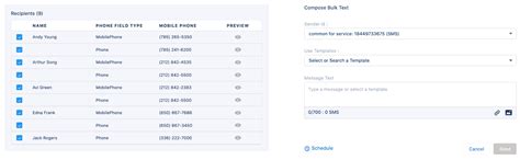 Send Bulk Sms Sms Magic Salesforce Documentation
