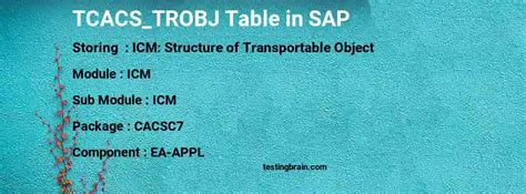TCACS TROBJ SAP Table For ICM Structure Of Transportable Object