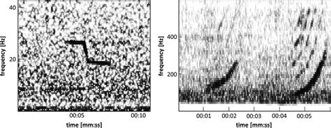 Spectrogram Of Antarctic Blue Whale Z Call Left Panel And North Download Scientific Diagram