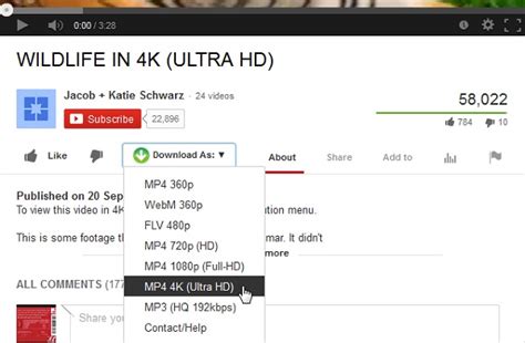 Top 6 Youtube Download Plugin And Add On