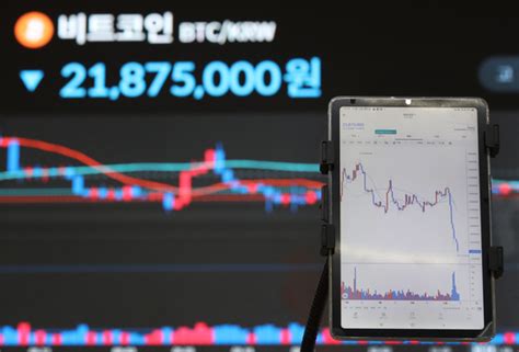 강남규의 글로벌 머니 연이은 초대형 코인 스캔들암호화폐 겨울 시작됐다 중앙일보