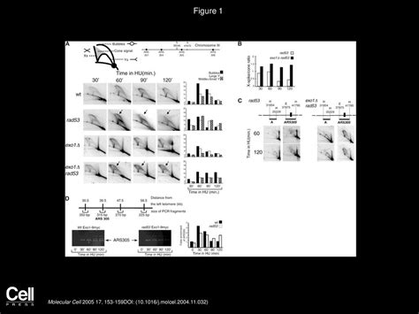 Volume 17 Issue 1 Pages January 2005 Ppt Download