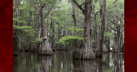 Sex In The Swamp Villages News Com