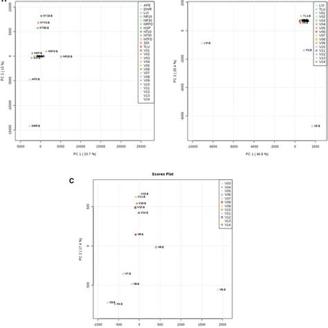 Principal Components Analysis Pca By Metaboanalyst— A Vessels And