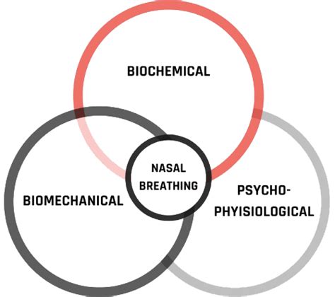 Oa Functional Breathing Instructor Certify Oxygen Advantage