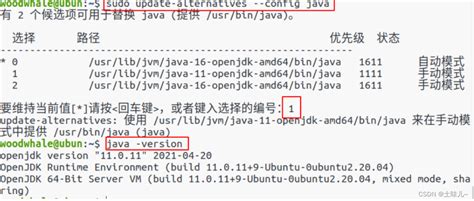 Ubuntu中安装OpenJdkDockerssh ubuntu安装openjdk CSDN博客