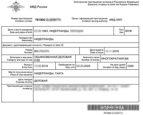 Визовая поддержка, приглашения для въезда в Россию