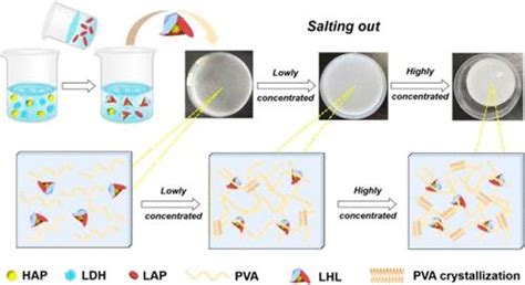 用于刺激响应装置的聚（乙烯醇） 锂皂石 层状双氢氧化物 羟基磷灰石纳米复合水凝胶 Acs Applied Nano Materials X Mol