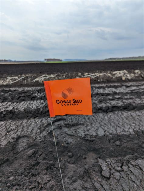 Daniel Eggert Cca On Linkedin Farming Agriculture Plantbreeding