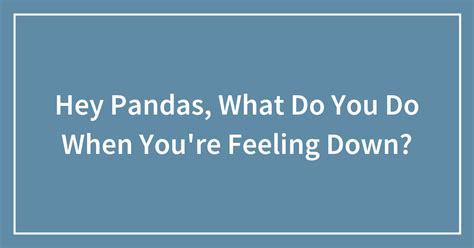 Hey Pandas, What Do You Do When You're Feeling Down? (Closed) | Bored Panda