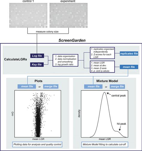 Steps Of Data Analysis Using Screengarden The Screengarden Application Download Scientific