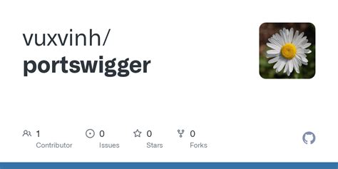 GitHub Vuxvinh Portswigger