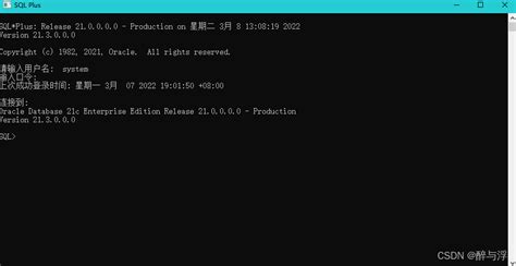 最新oracle 21c与em配置及使用 oracle21cwindowsx64下载安装后使用教程 csdn博客