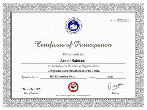 Professionaldevelopment Junaid Subhani