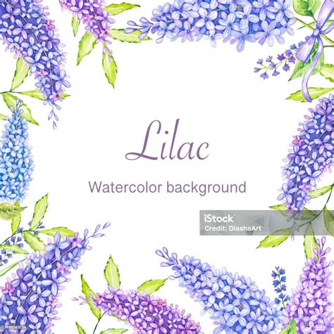 Ilustración De Marco Floral Con Flores Lilas De Acuarela Fondo Con Lila