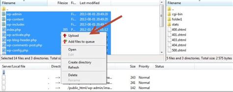 Hướng Dẫn Cài đặt Wordpress Trên Directadmin Vhost