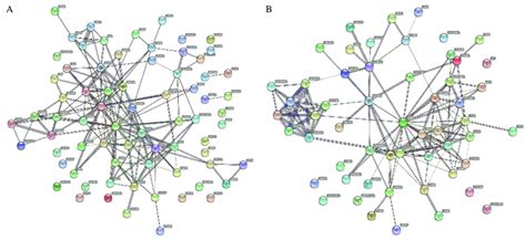 String Protein Protein Interaction Ppi Network A Ppi Network For Download Scientific