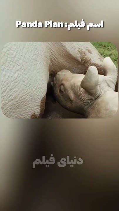 جکی چان شیر یک کرگدن رو داخل شیشه شیرش دوشید؟😂 دنیایفیلم Youtube