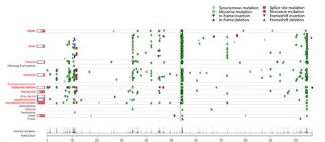 Spatial Clustering On Pik3ca Download Scientific Diagram