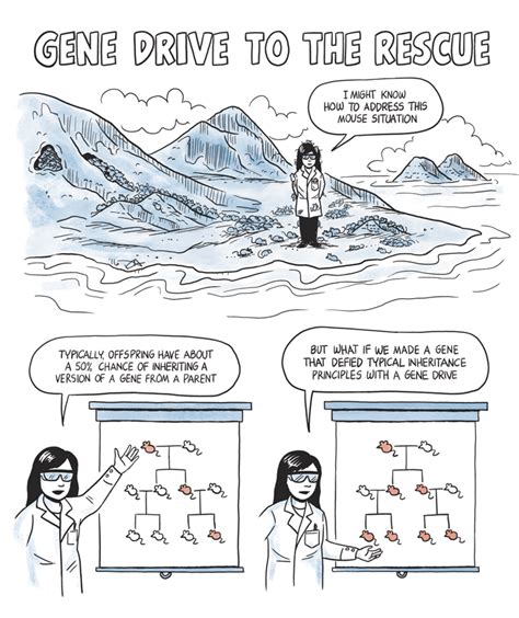 Re Coding For Conservation