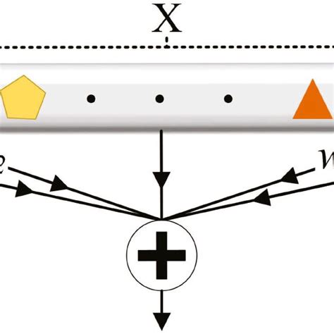 Example Architecture Of The Inner Product Download Scientific Diagram