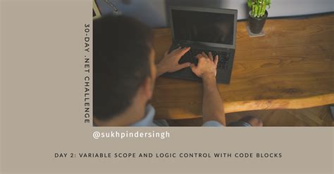 Day 2 Of 30 Day Net Challenge Variable Scope And Logic Contr